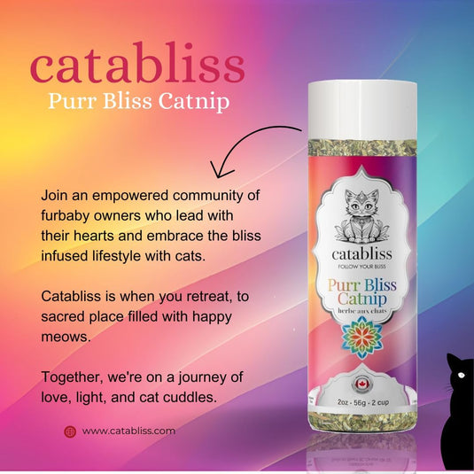 Purr bliss catnip for cats & cat toys | Catabliss